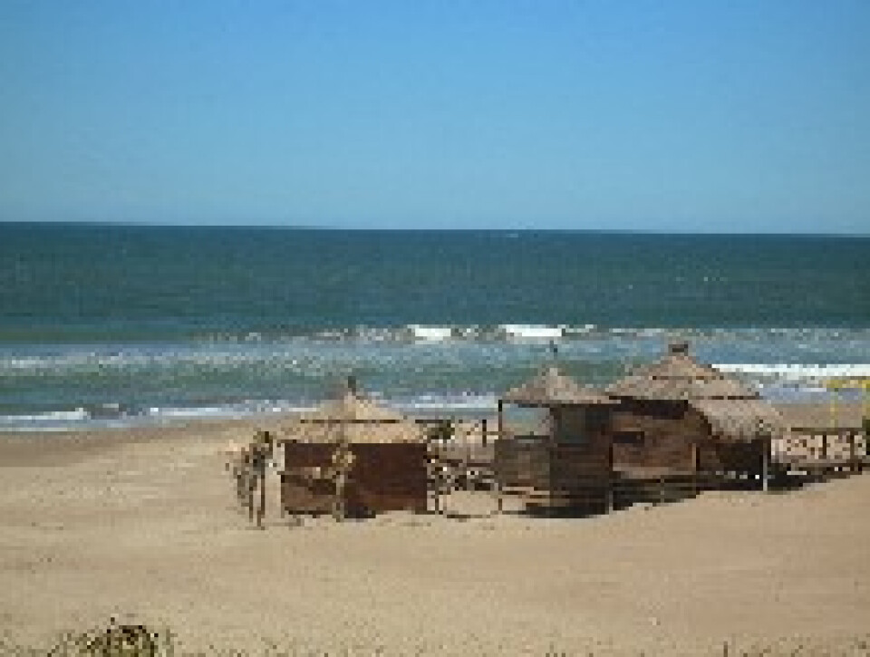 Playas + bosques + dunas: todo, todo en Pinamar