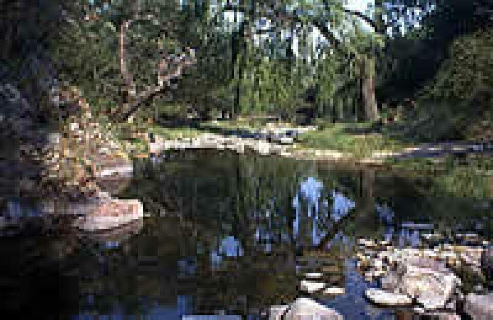 Candonga: una escapada a la naturaleza y al pasado