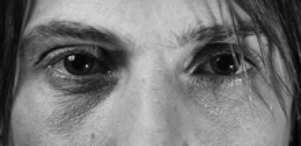 La Mirada De Sergio Bibiloni