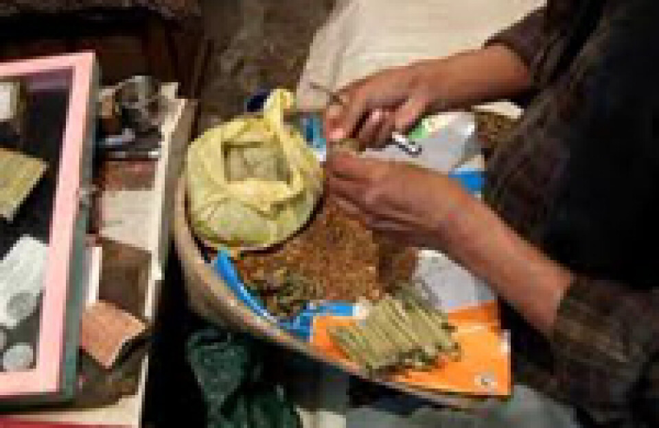 Beedies (o bidis) (Parte 1)