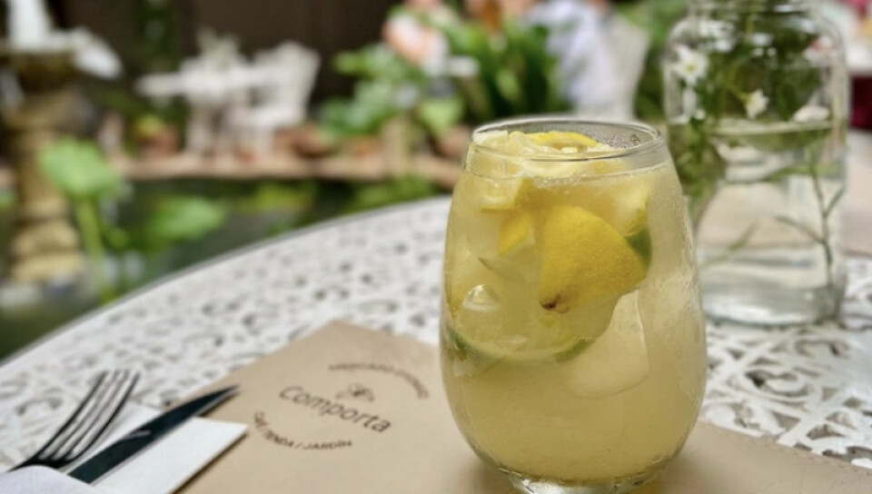 Café Comporta, un nuevo lugar para descubrir (lleno de encanto y con ...