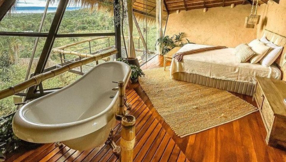 Satori Zen Club: iniciativa nacida en pandemia que crea un destino de ...