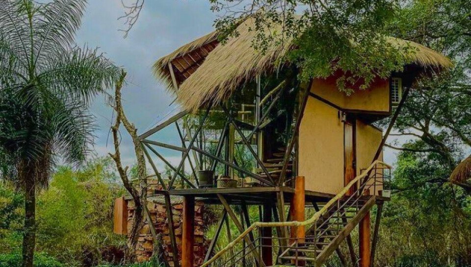 Satori Zen Club: iniciativa nacida en pandemia que crea un destino de ...