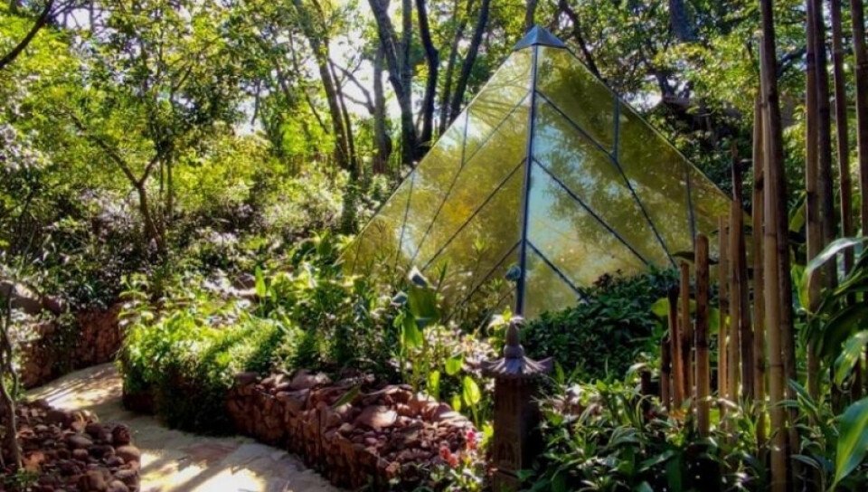 Satori Zen Club: iniciativa nacida en pandemia que crea un destino de ...