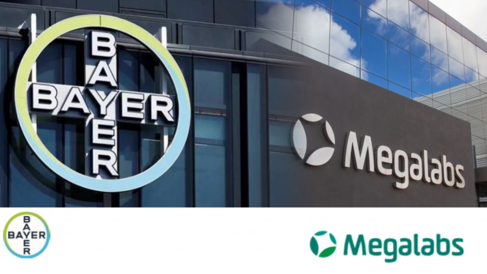 Bayer y Megalabs firman alianza para comercializar medicamentos en ...