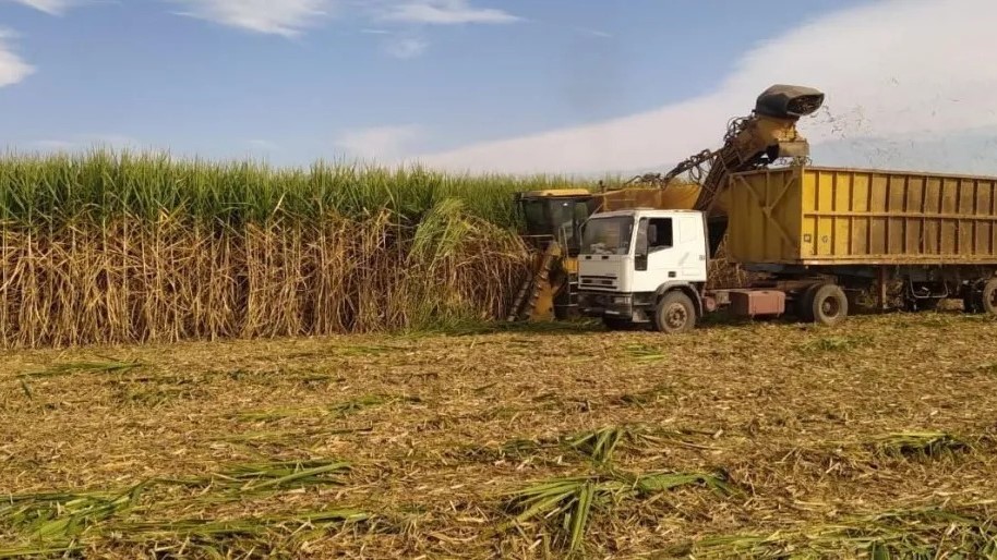 Inició la zafra azucarera 2025 en Tucumán (una temporada clave para la ...