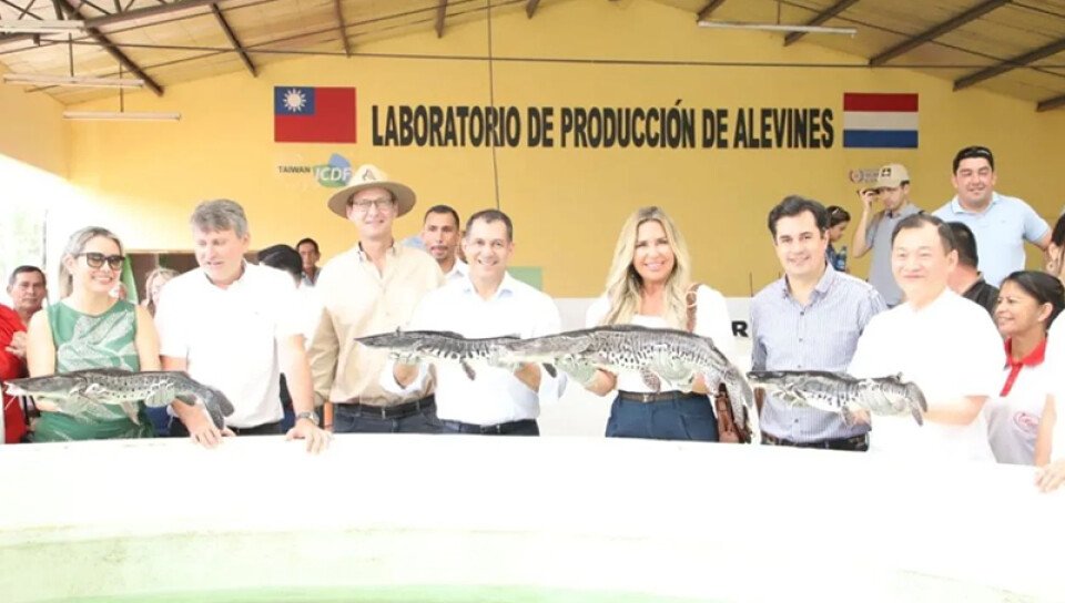 ¿Sabías que en Paraguay se cría salmón? La acuicultura local se expande ...