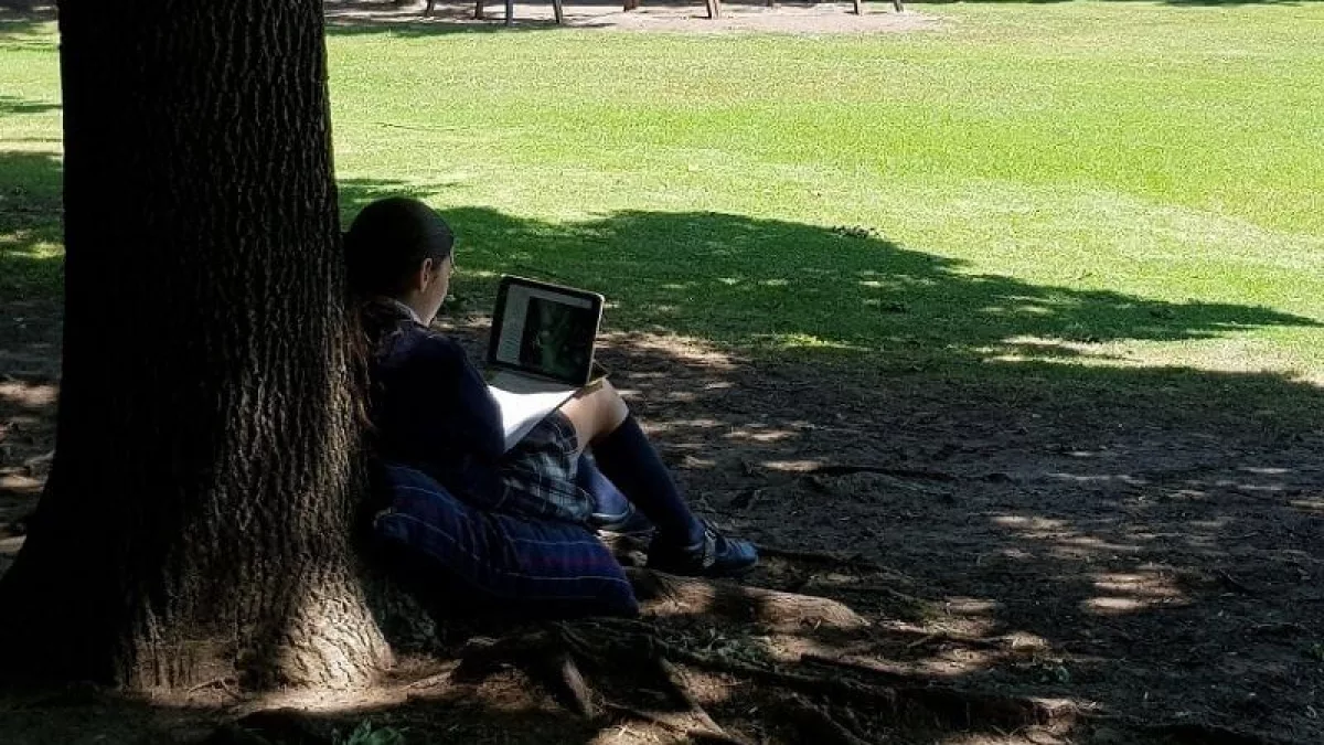 En Argentina ya hay Google Reference School (qué son y en qué beneficia ...