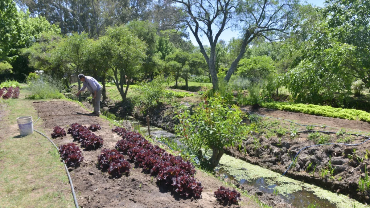 La Secretaría de Agricultura lanzó una nueva edición del Programa ...